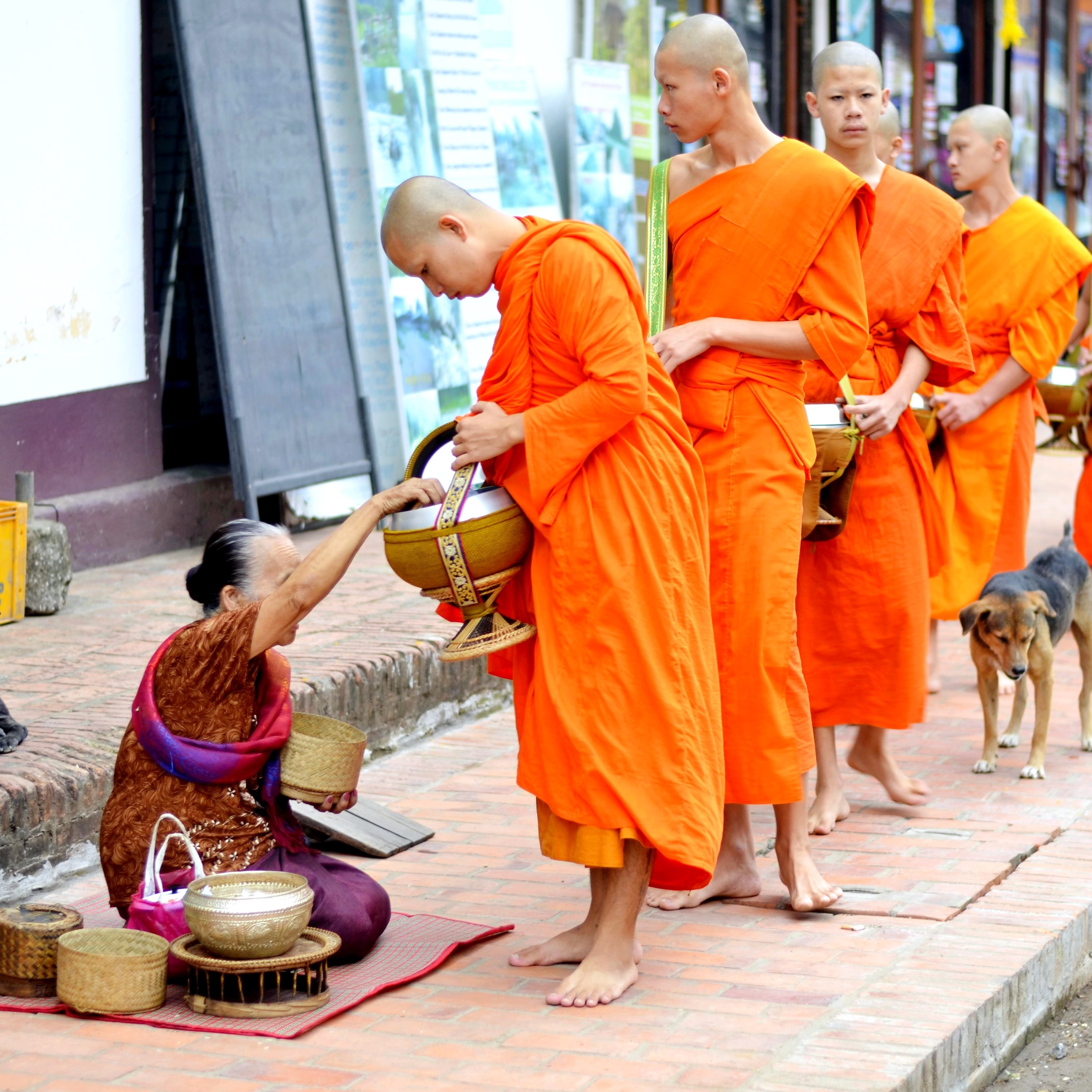 Seva in Action | Life'sWork Yoga