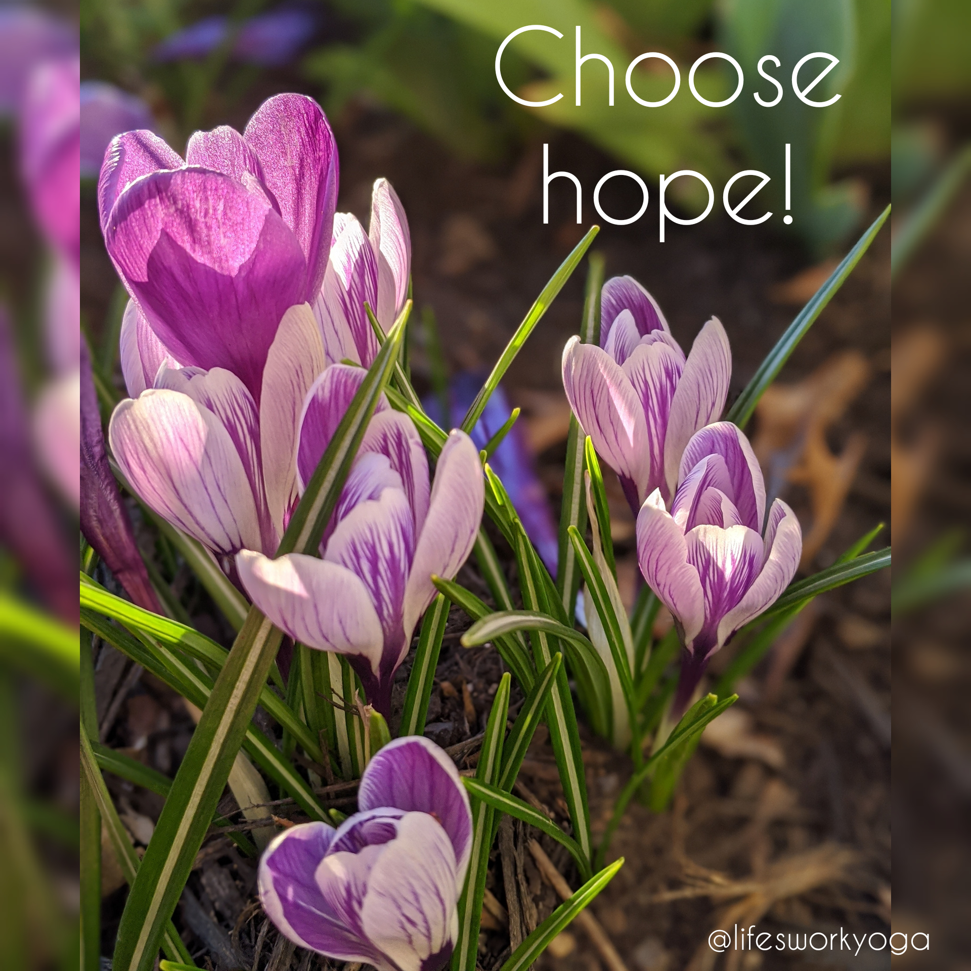 Hope is IN the practice! - Life'sWork Yoga