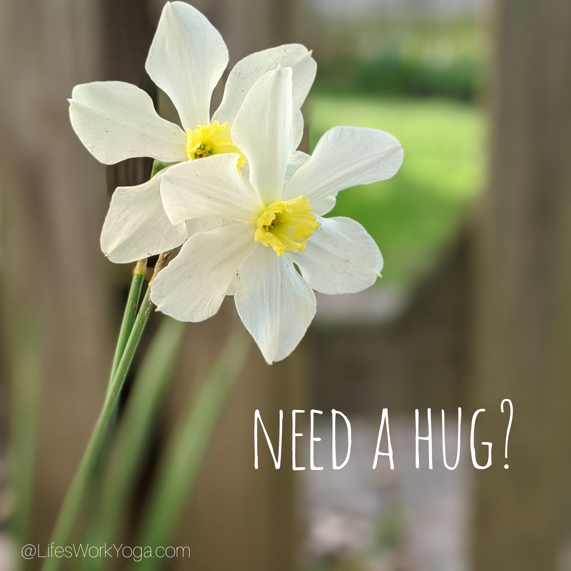 Timing Matters - Life'sWork Yoga